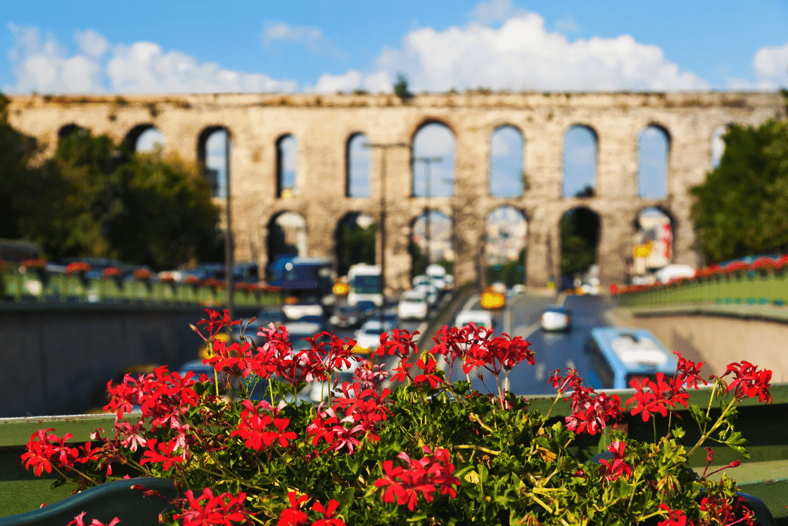 Istanbul Revealed: The Ultimate Guide - TravelsJinn